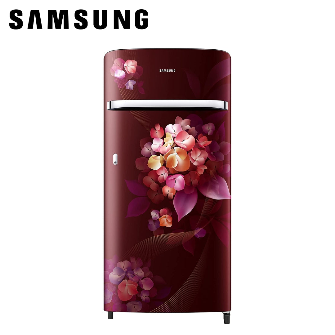 SAMSUNG RR21B2G2XHT/HL